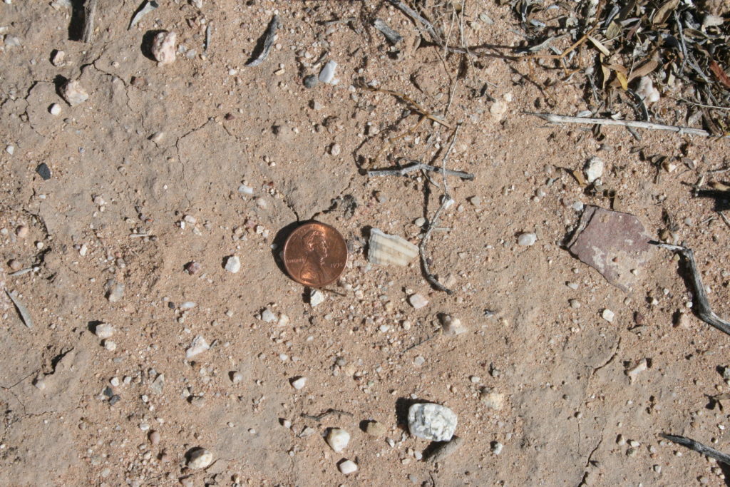 Vista del Rio Site Tour - Old Pueblo Archaeology Center-